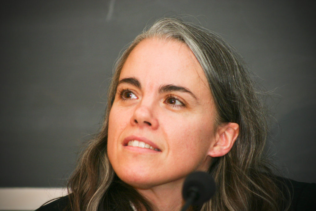 Historia - Reseña de Una larga noche, de Andrea Pitzer: historia ...