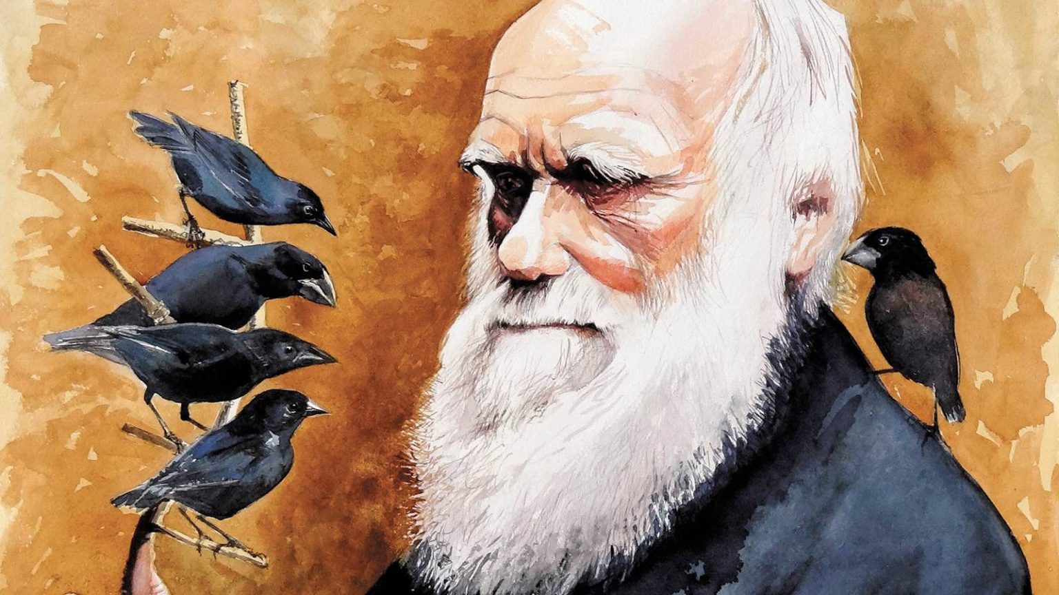 Diarios de Campo. Evolución I: Charles Darwin - Fantasymundo